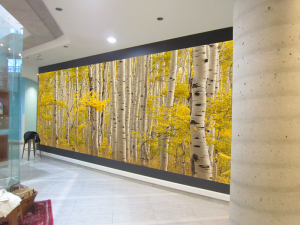 Vision Graphics – Look Good. Be Seen.